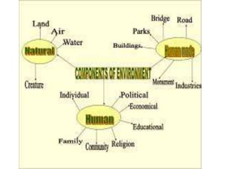 ENVIRONMENT: MEANING AND ITS COMPONENTS | PPTX