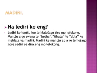 Presentation of madiri.pptx