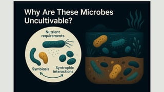 Presentation 1 Microbiome Engineering and Synthetic Microbiology.pptx