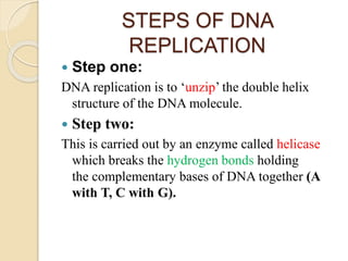 Presentation1 molecular biology | PPT