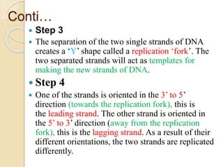 Presentation1 molecular biology | PPT
