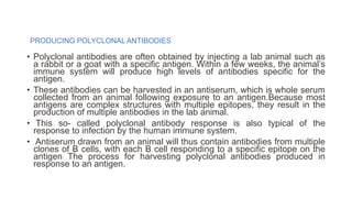 Presentation1 monoclonal and polyclonal antibodies | PPTX