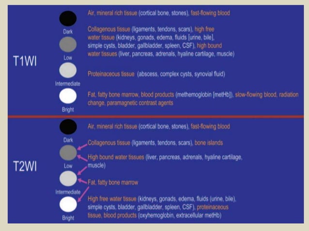 Presentation1, mr pulse sequences. | PPTX