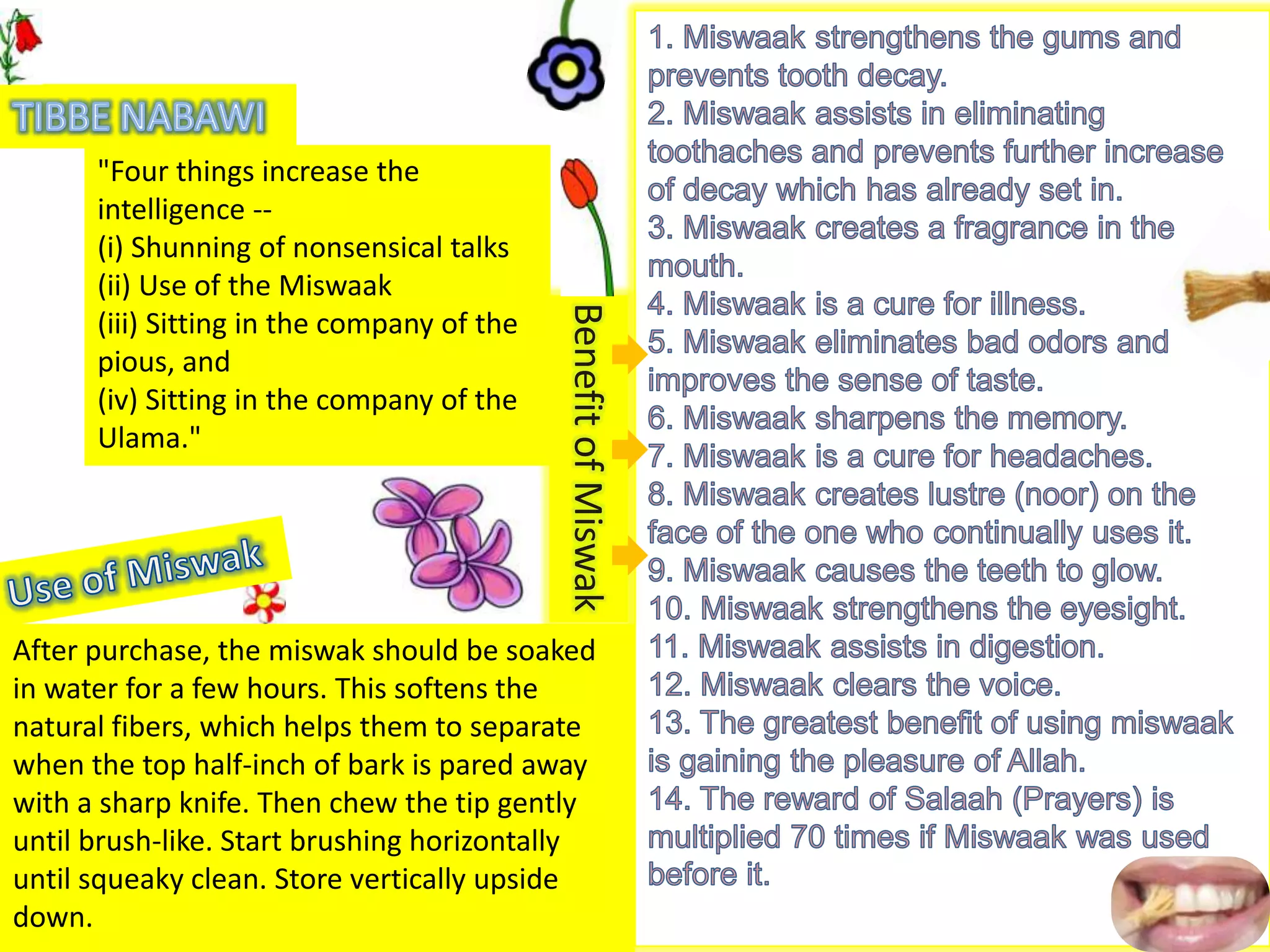 miswak | PPTX