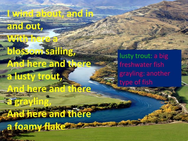 The brook 15 slides | PPT