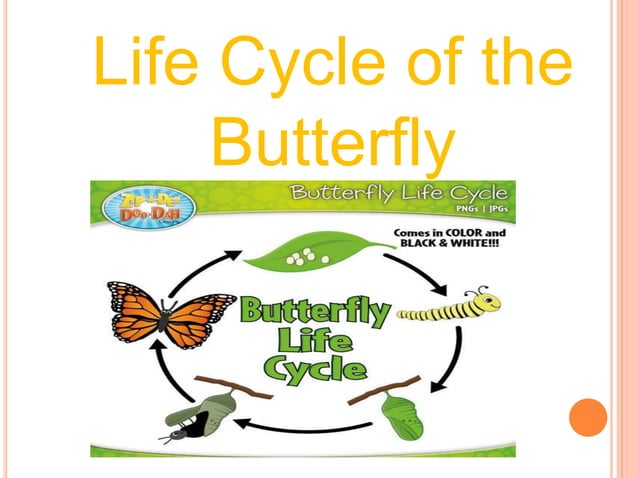 Presentation1(nichole) | PPTX