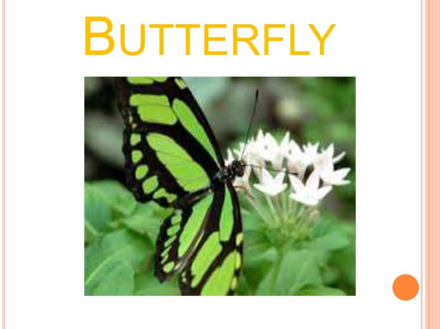 Presentation1(nichole) | PPTX