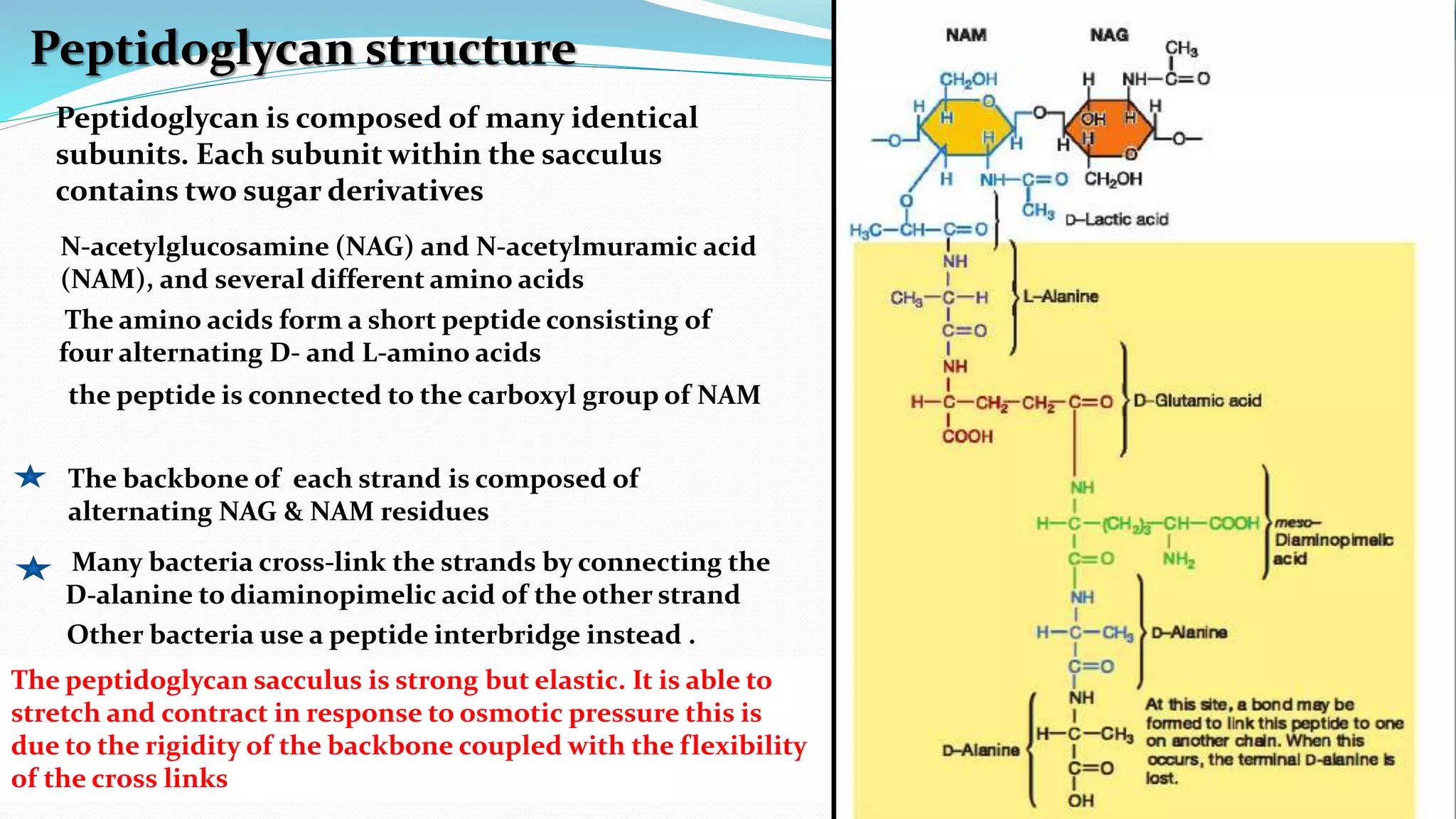Presentation1 nidhi copy - copy | PPTX