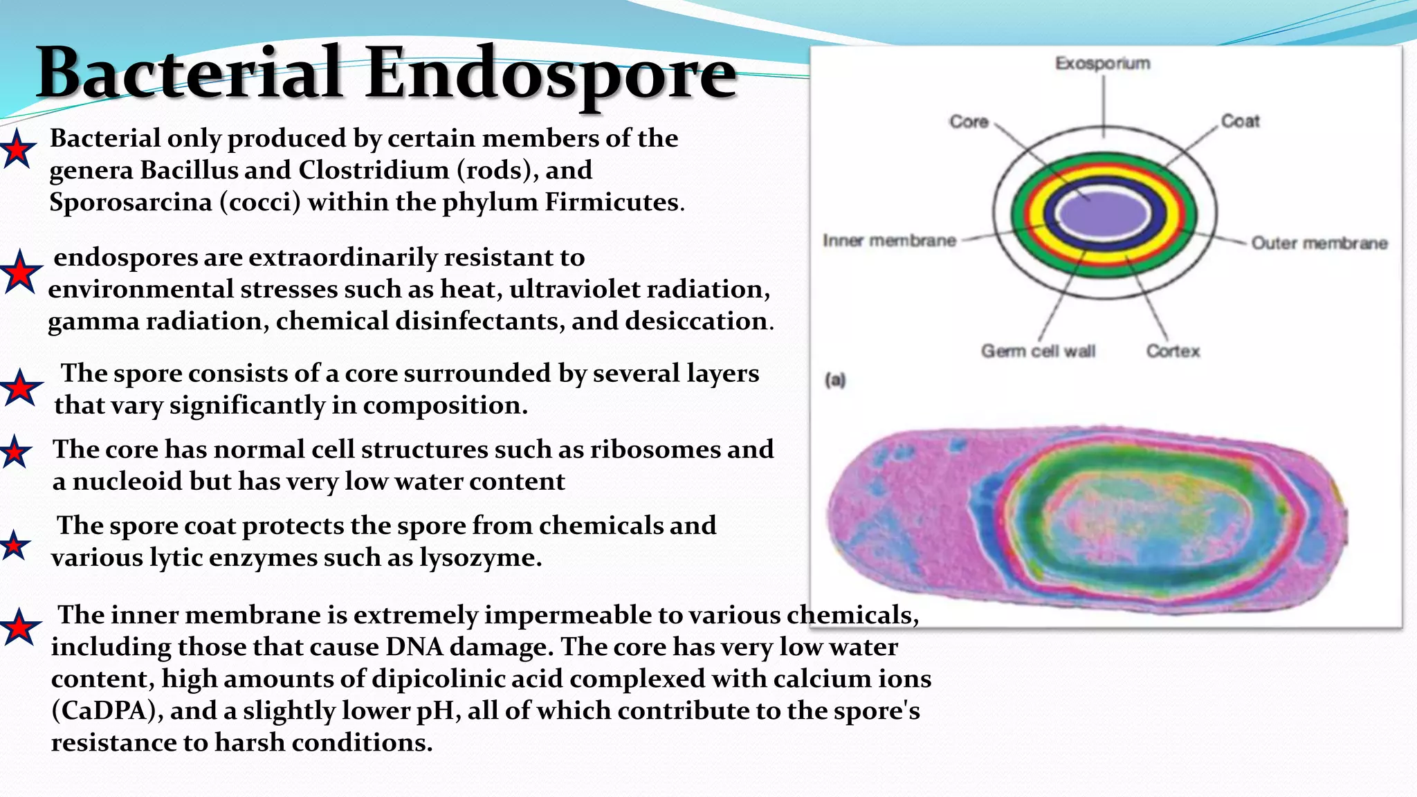 Presentation1 nidhi copy - copy | PPTX