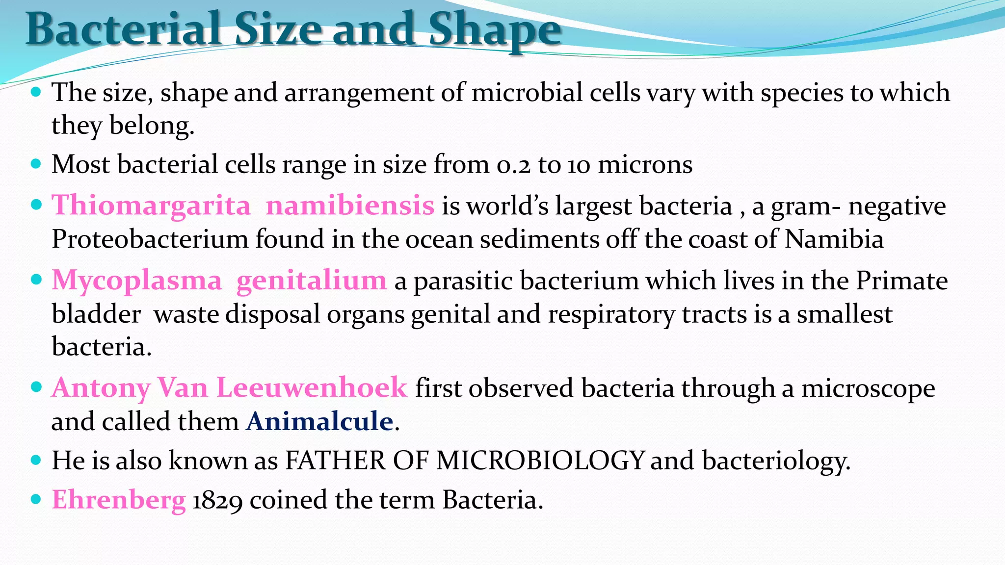 Presentation1 nidhi copy - copy | PPTX
