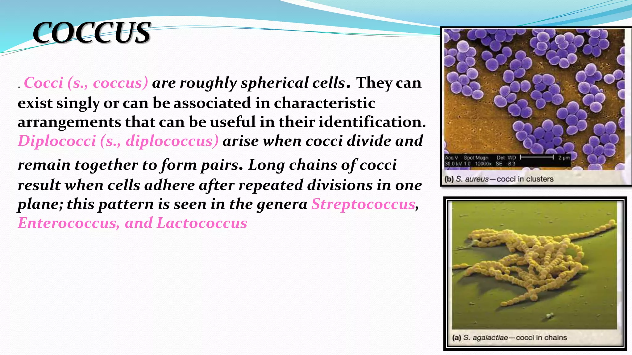 Presentation1 nidhi copy - copy | PPTX
