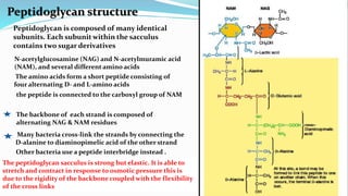 Presentation1 nidhi copy - copy | PPTX