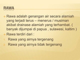 TUGAS GEOGRAFI | PPTX