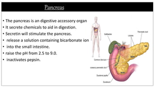 Endocrinology | PPT