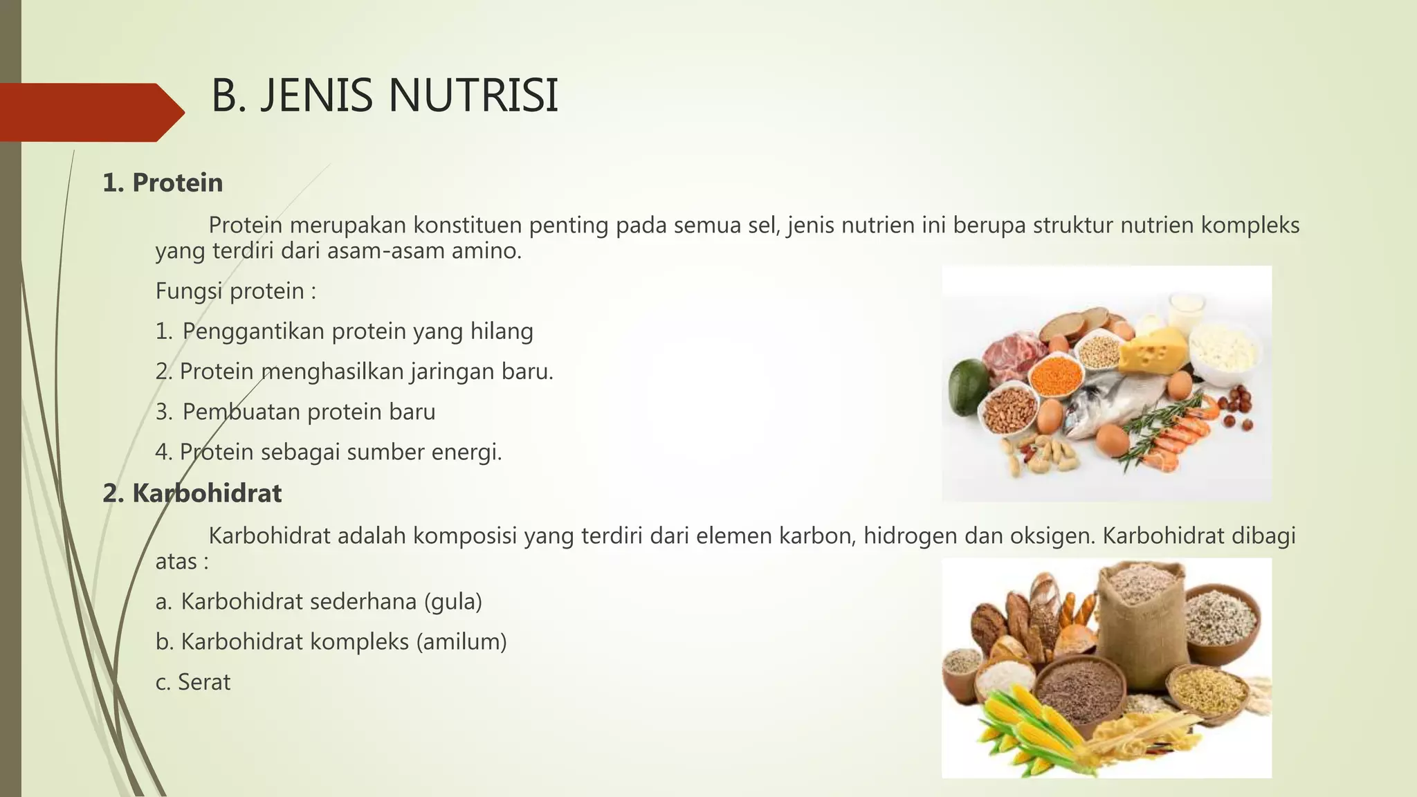 Presentation1 nutrisi | PPTX