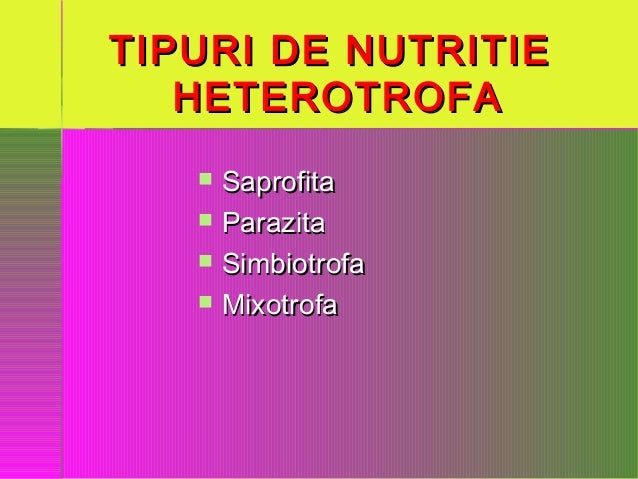 Nutritia heterotrofa