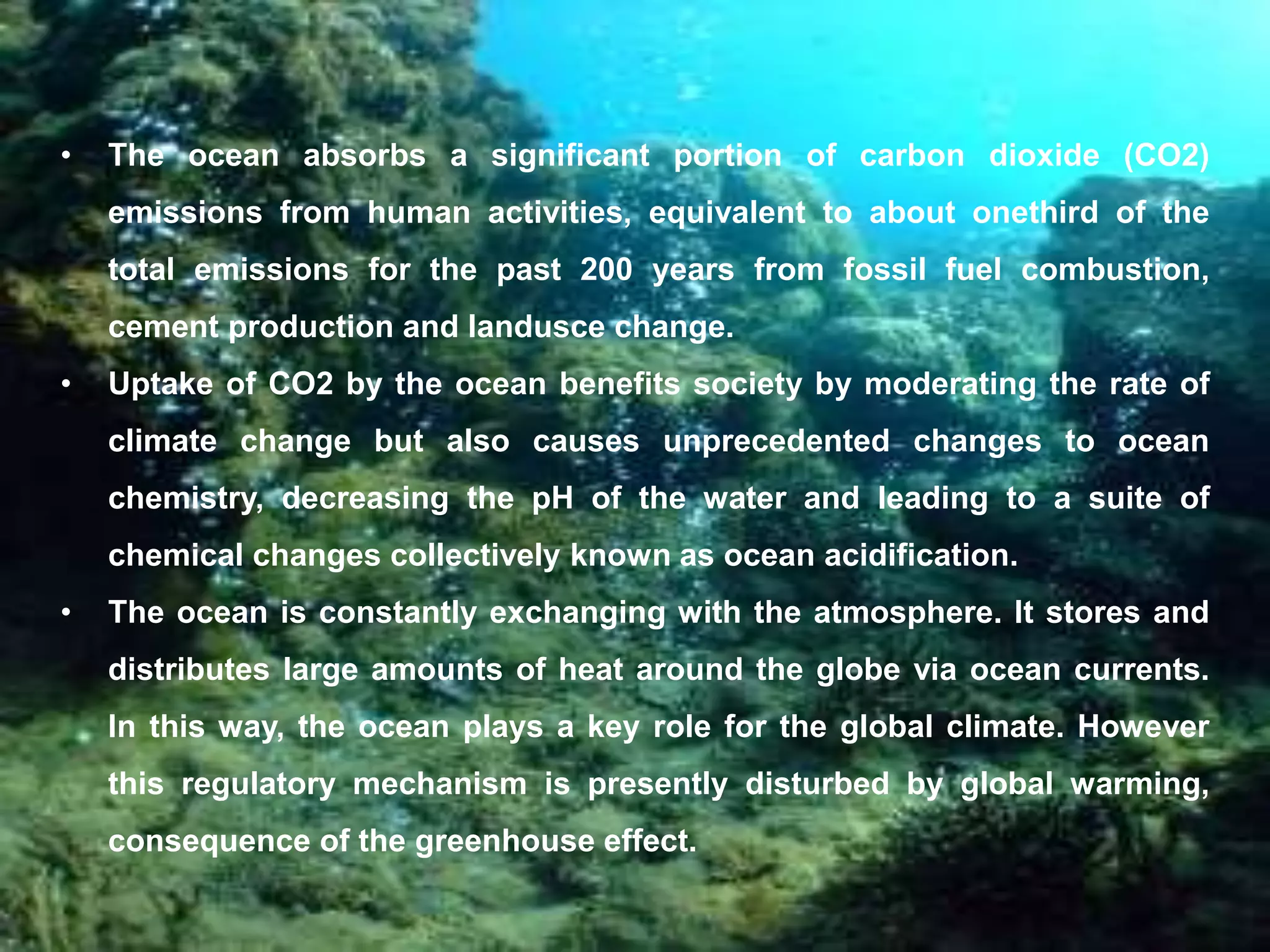 Ocean Acidification | PPTX