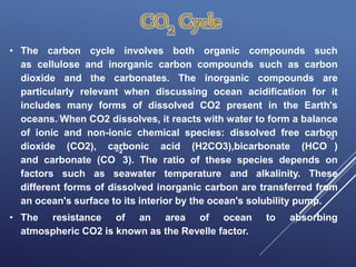 Ocean Acidification | PPTX