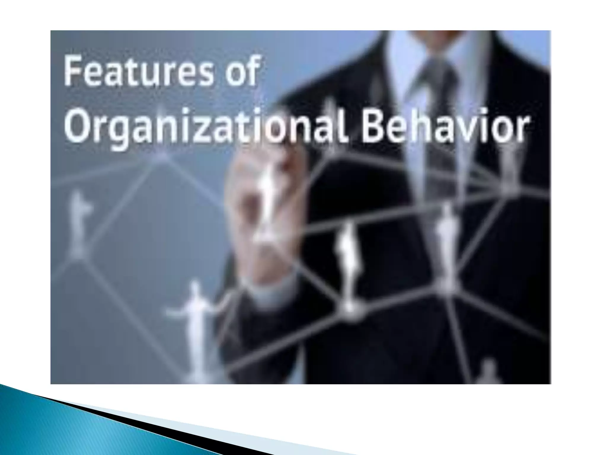 foundation and Background of Organizational Behaviour | PPTX