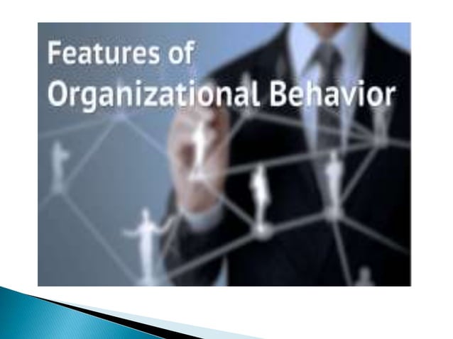 foundation and Background of Organizational Behaviour | PPTX | Business ...