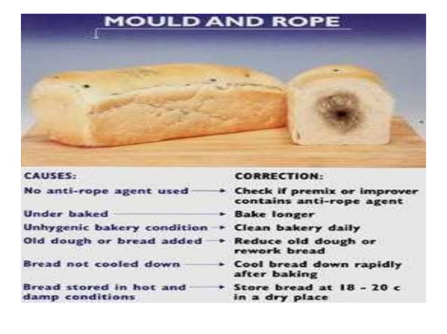 Diagnose and respond to bread faults- Lesson 2 | PPTX