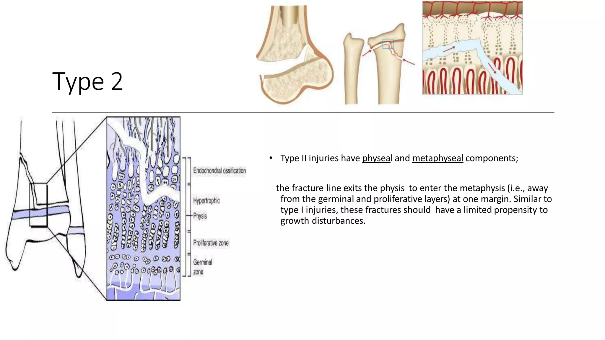 Presentation 1 ortho.pptx