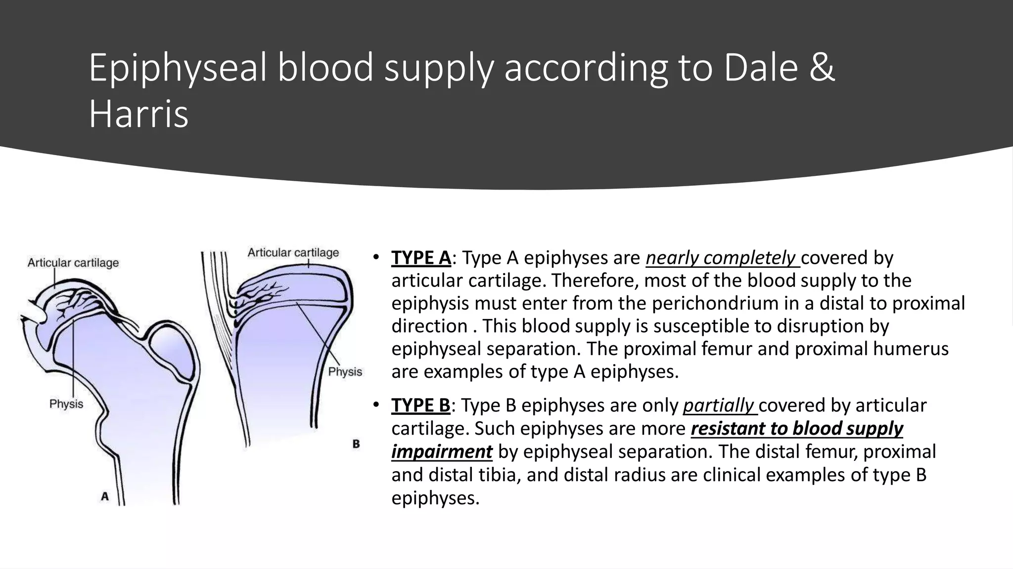 Presentation 1 ortho.pptx