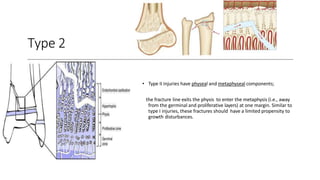 Presentation 1 ortho.pptx