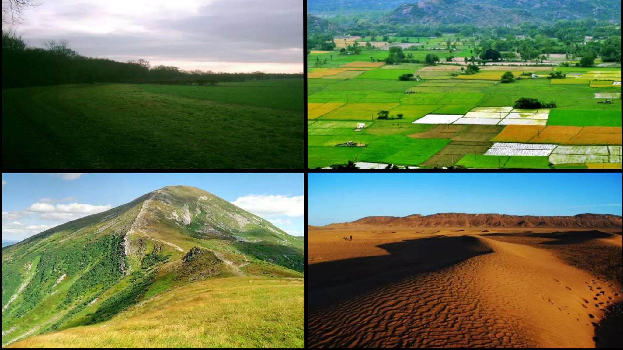 Our environment Class - 7 | PPTX