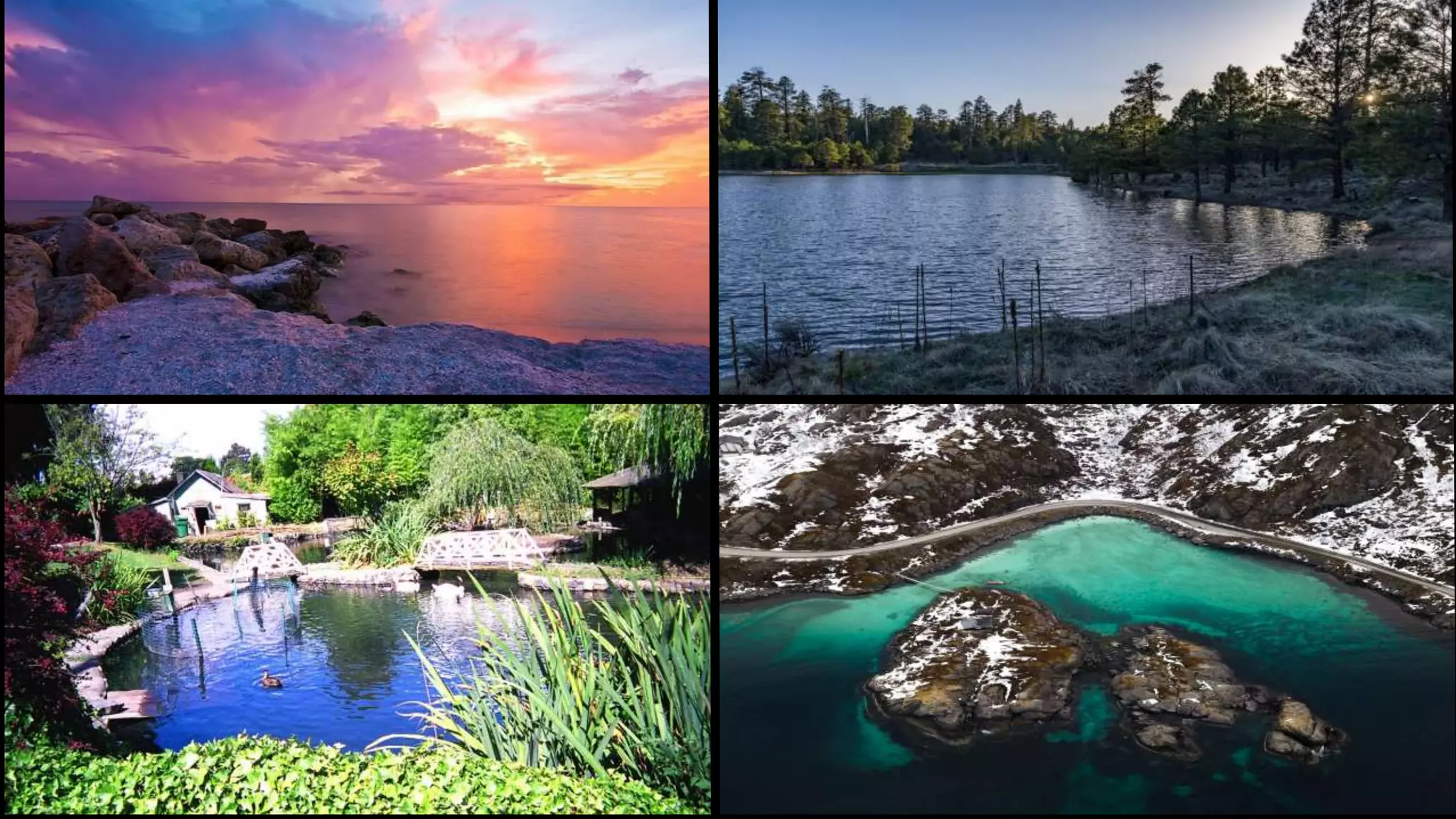 Our environment Class - 7 | PPTX