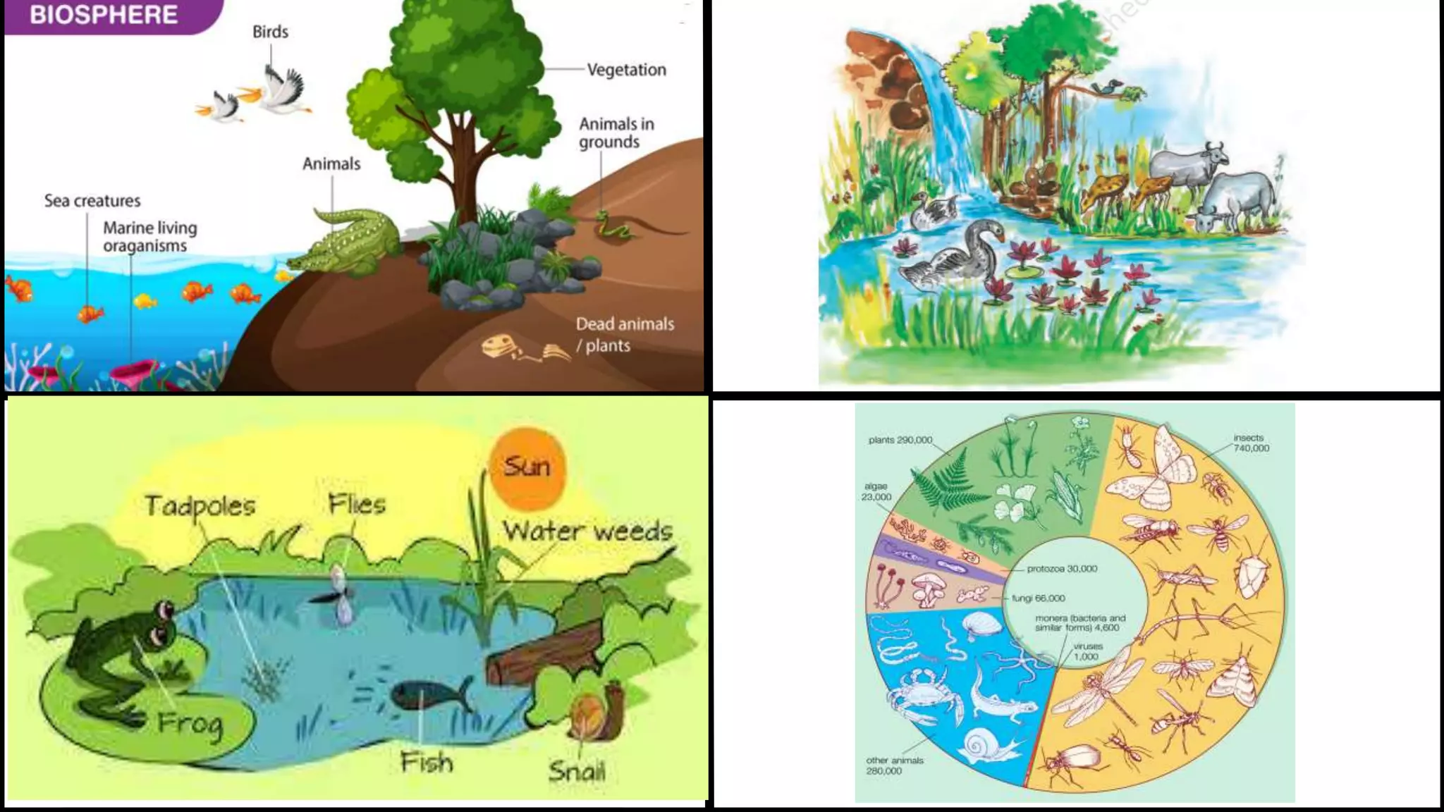 Our environment Class - 7 | PPTX