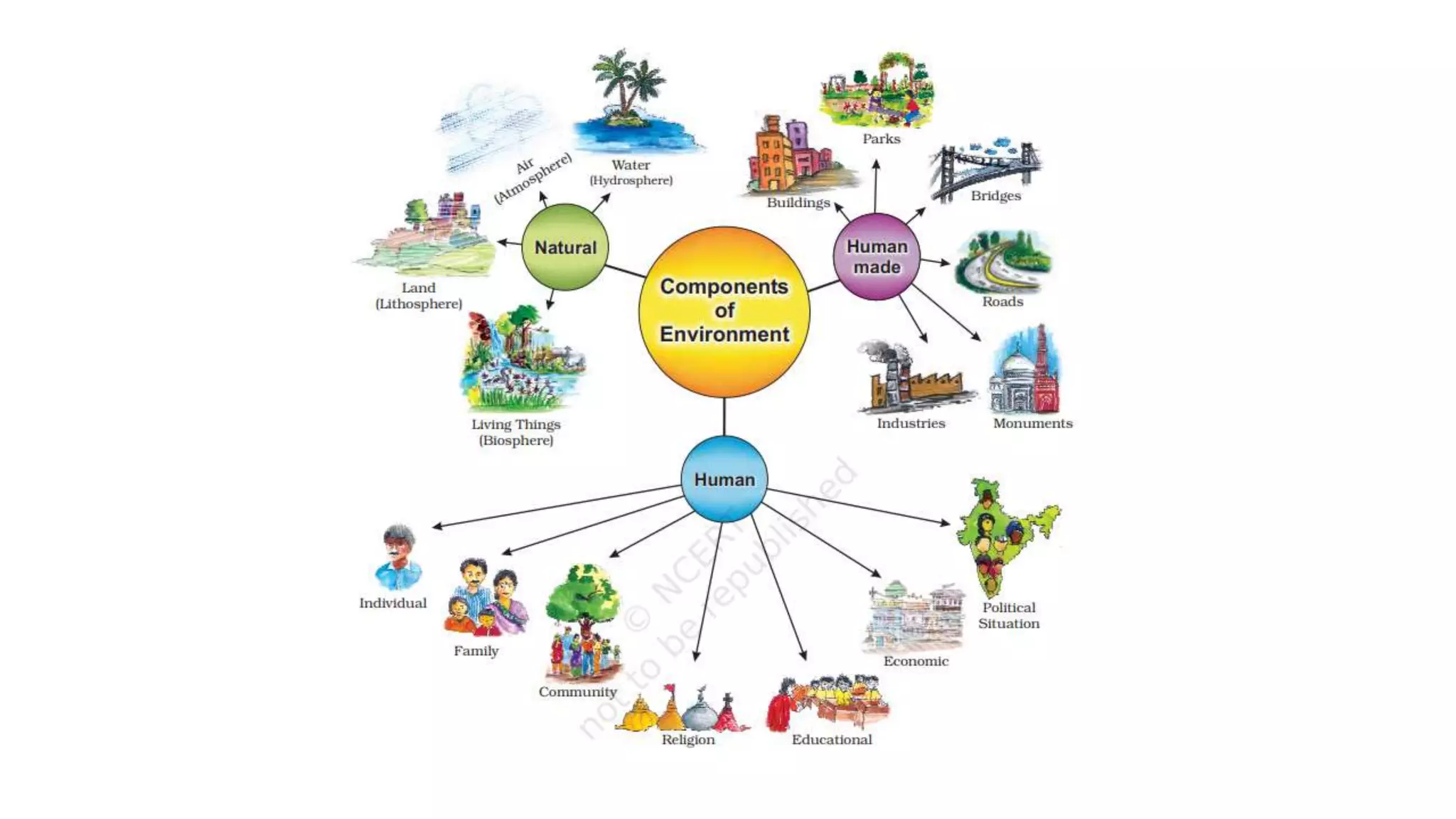 Our environment Class - 7 | PPTX