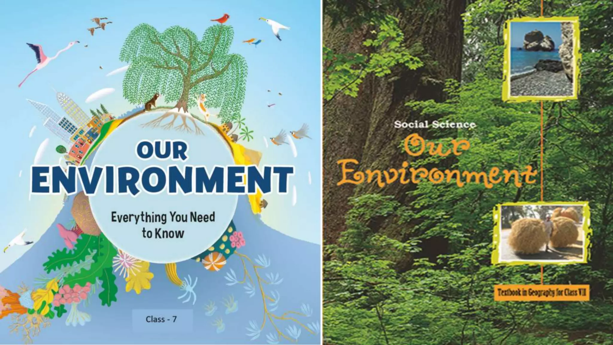 Our environment Class - 7 | PPT