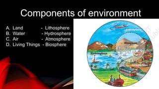 Our environment Class - 7 | PPTX