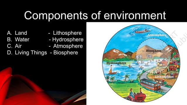 Our environment Class - 7 | PPTX