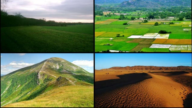 Our environment Class - 7 | PPTX