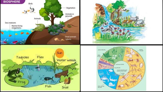 Our environment Class - 7 | PPTX