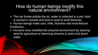 Our environment Class - 7 | PPTX