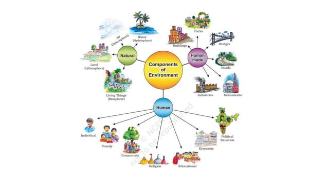 Our environment Class - 7 | PPTX