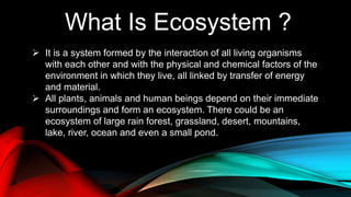 presentation1ourenvironment-210429041552 (1).pdf