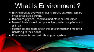 presentation1ourenvironment-210429041552 (1).pdf