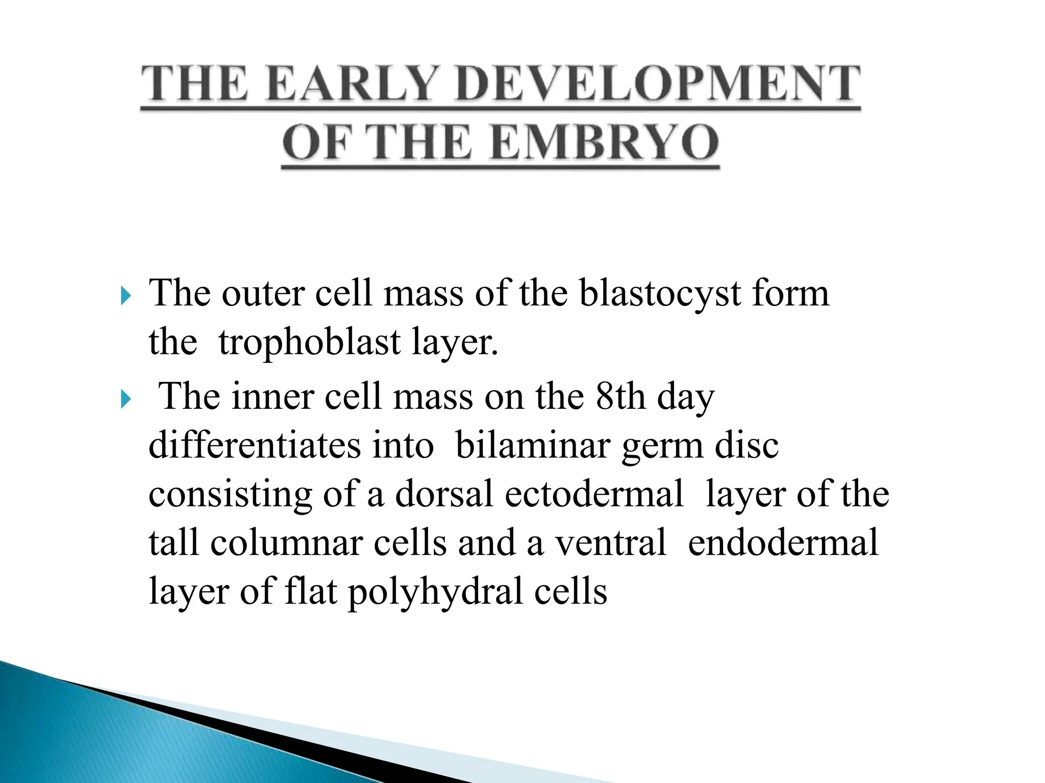 PPT on Embryological and fetal development | PPTX