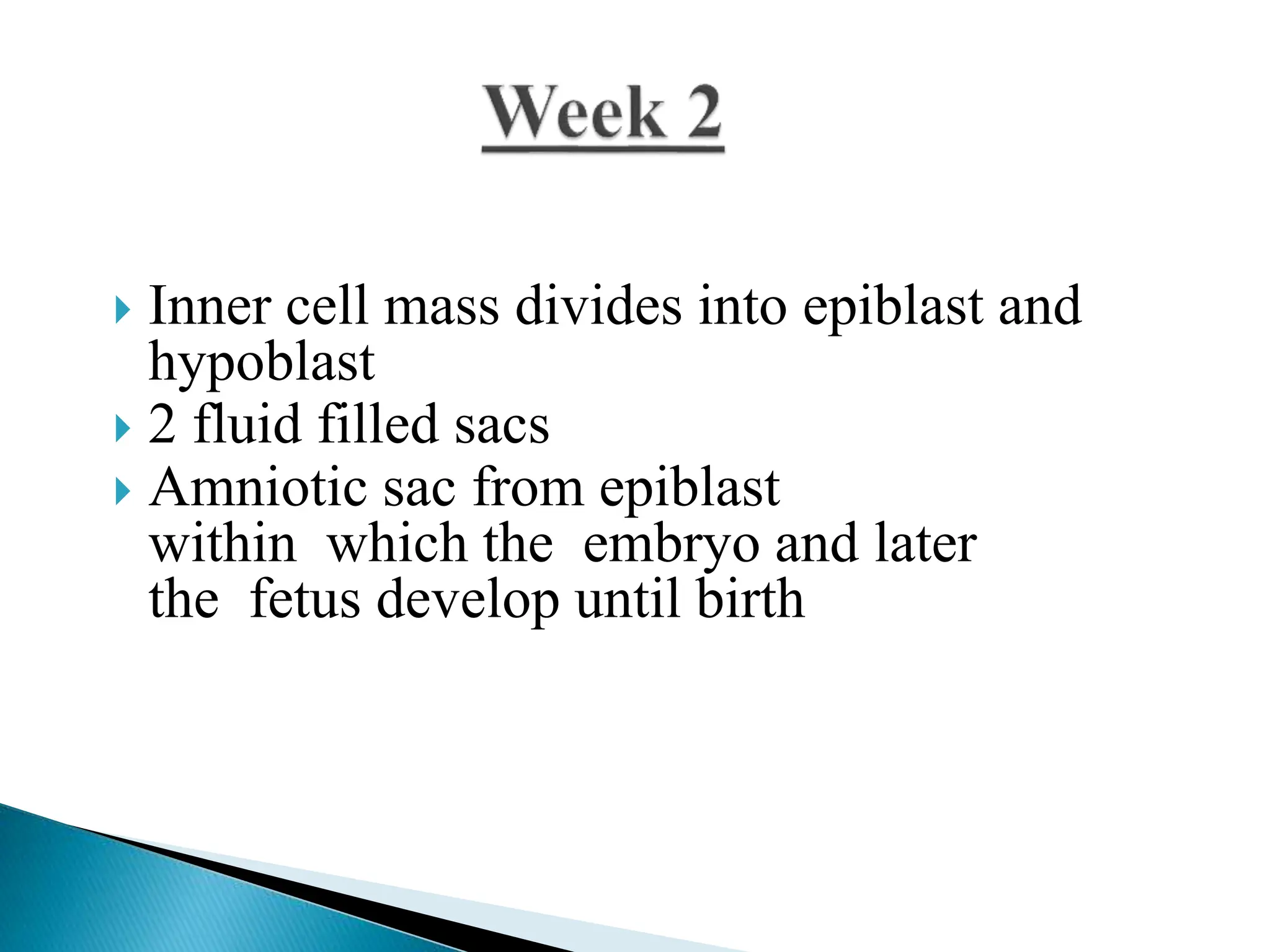 PPT on Embryological and fetal development | PPTX
