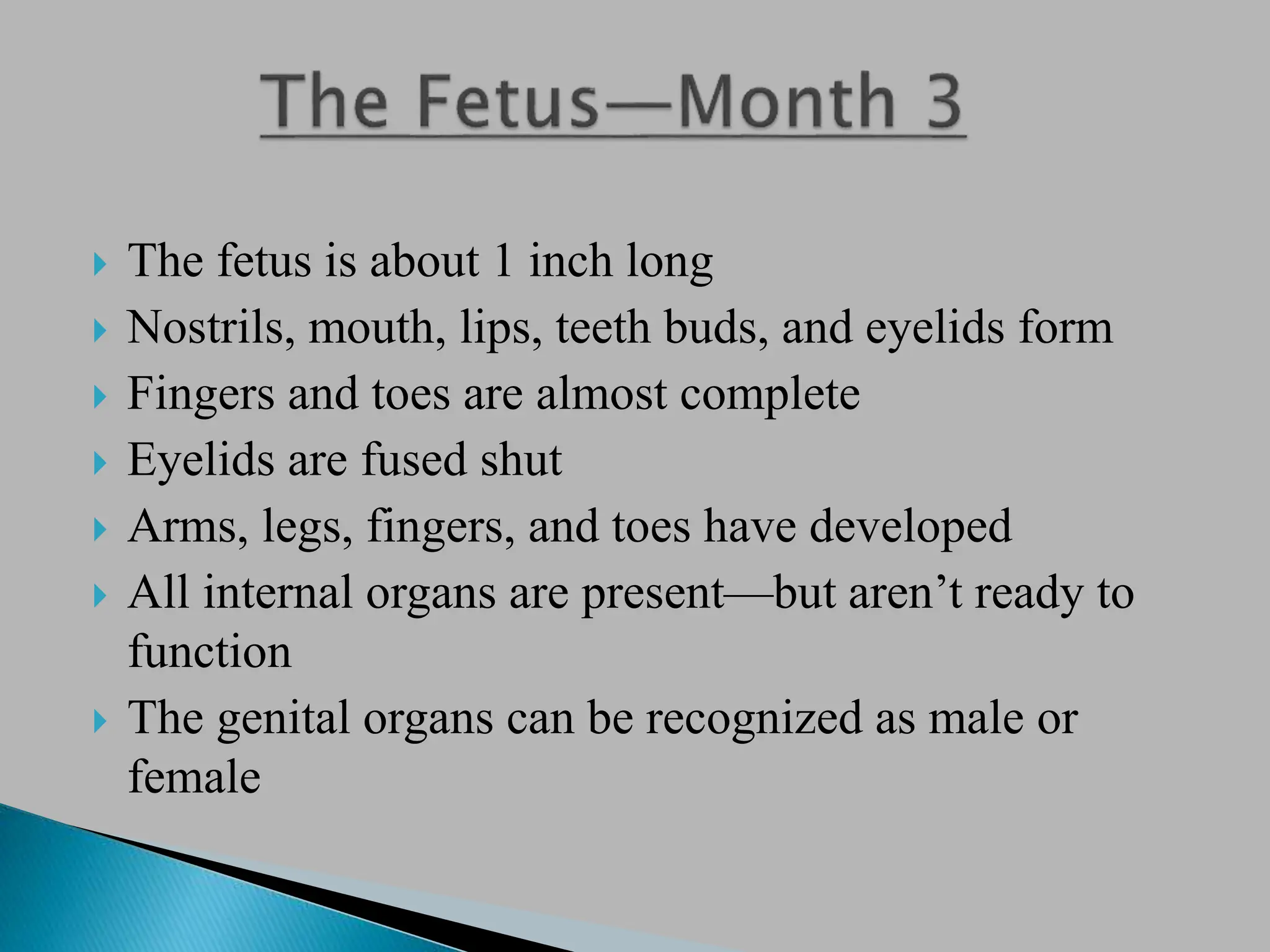 PPT on Embryological and fetal development | PPTX