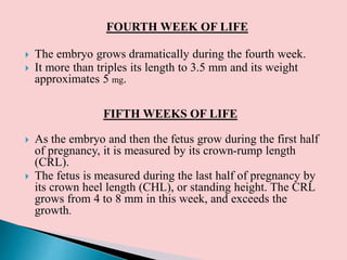 PPT on Embryological and fetal development | PPTX