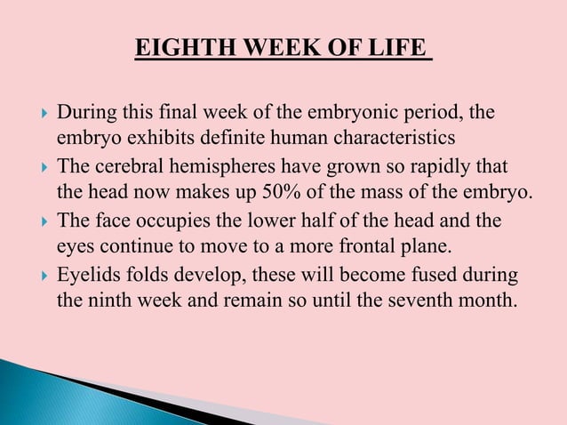 PPT on Embryological and fetal development | PPTX