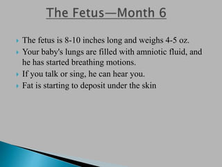 PPT on Embryological and fetal development | PPTX