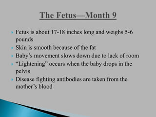 PPT on Embryological and fetal development | PPTX
