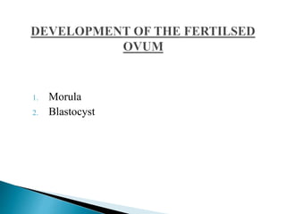PPT on Embryological and fetal development | PPTX