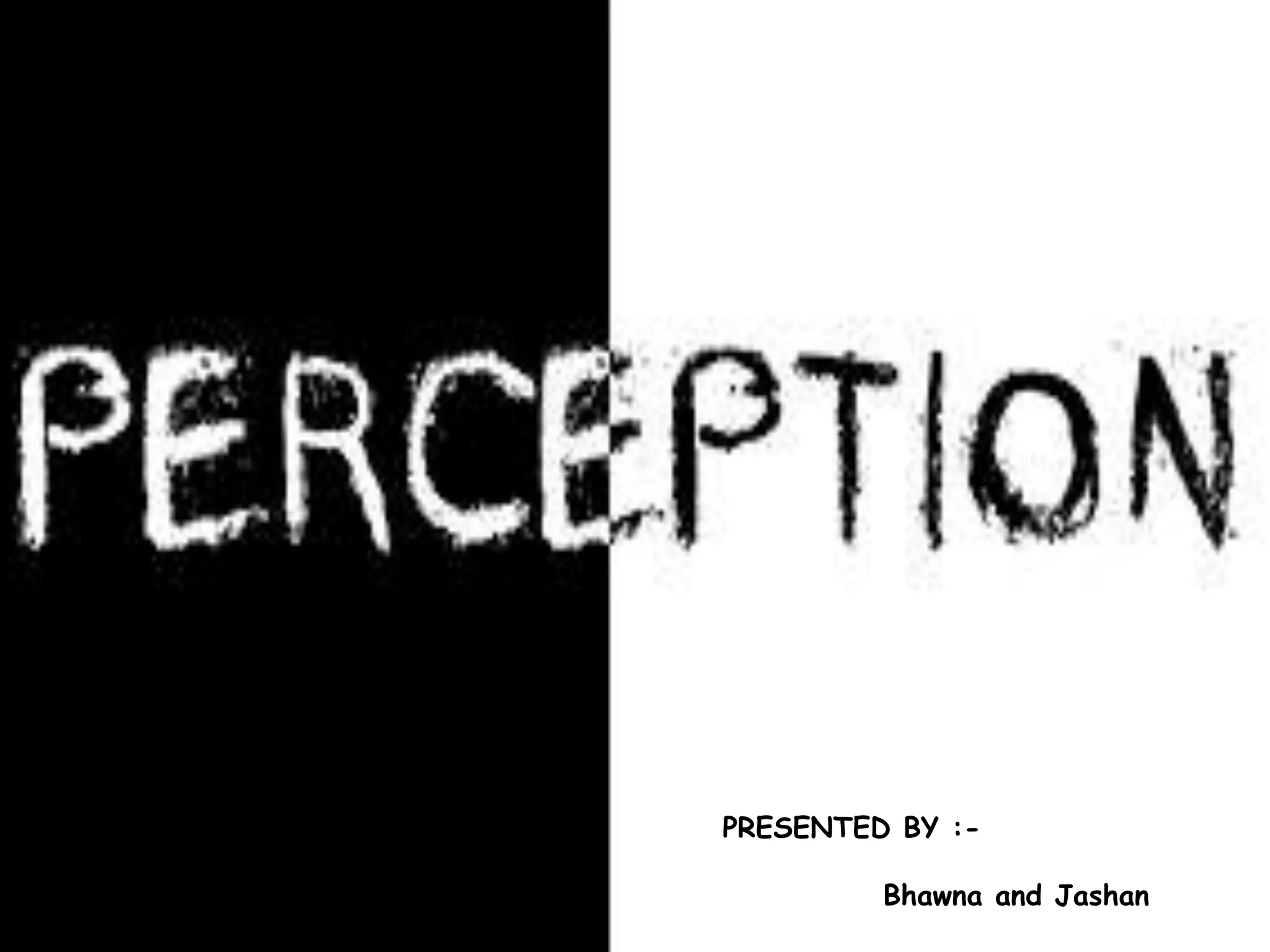 PowerPoint Presentation on perception | PPTX | Science